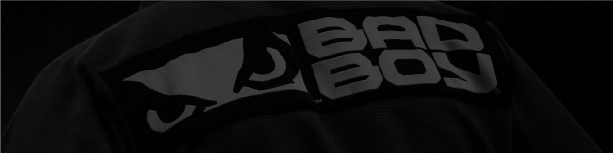 Sobre a Bad Boy - Um breve resumo de uma longa história